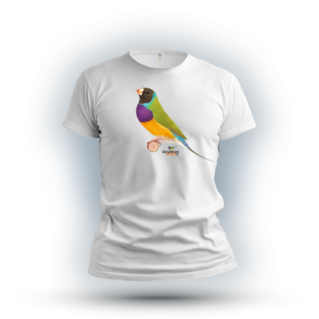 Cinnamon (Bruno) Mutation male – Gouldian white T-shirt – Gouldianfinch