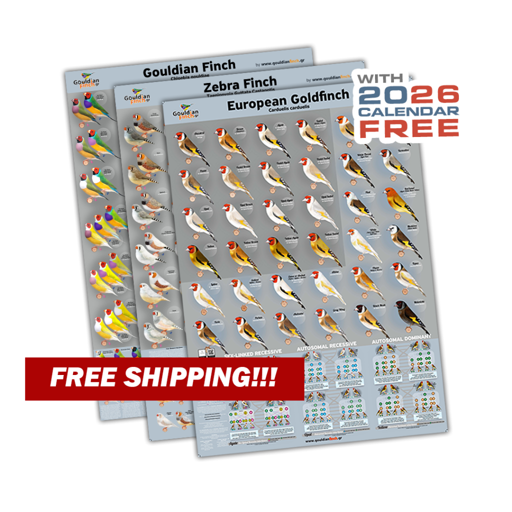 NEW Gouldian, New Zebra, and New Goldfinch Mutation Posters 2026 ...