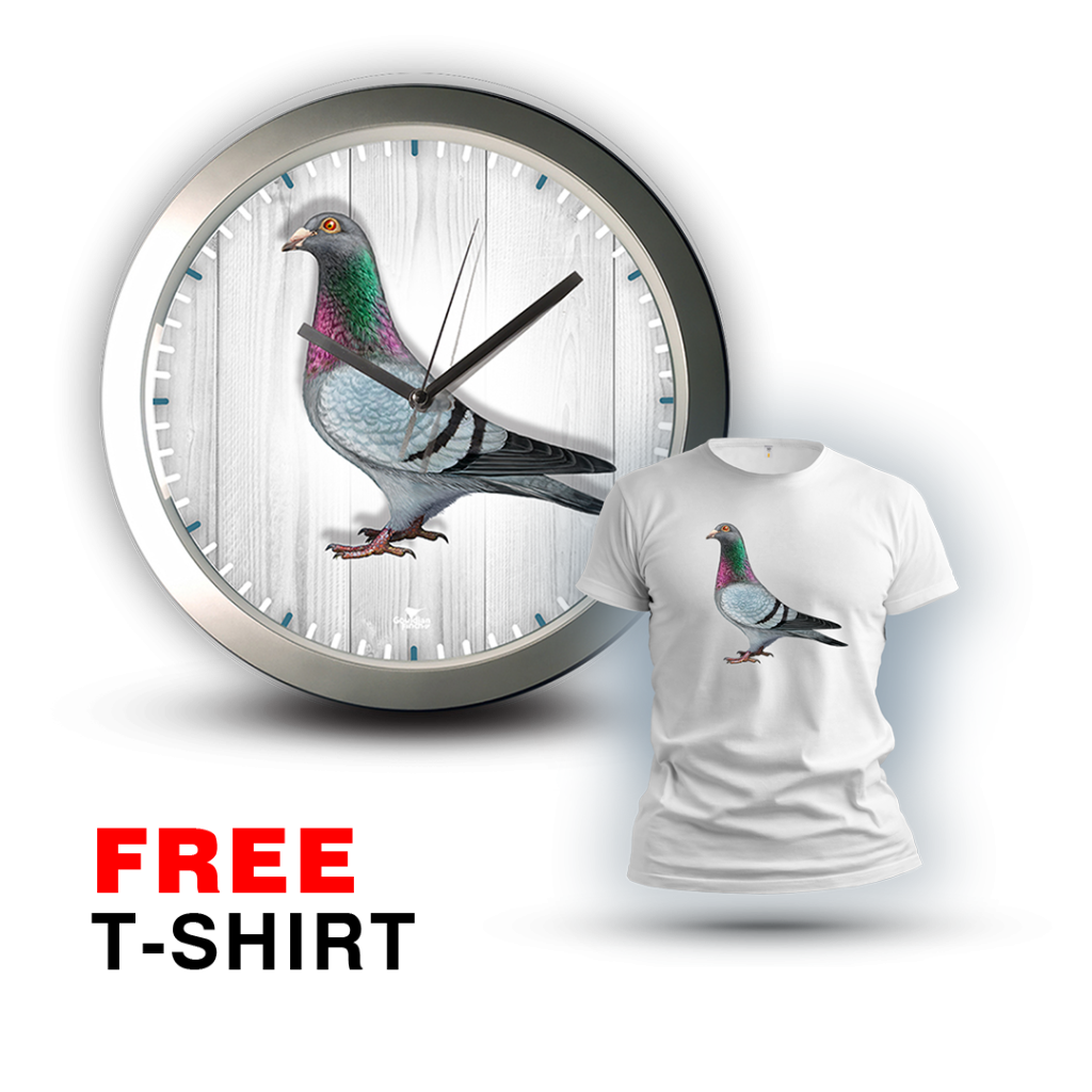 Racing Pigeon silver Wall Clock 2026 – Gouldianfinch